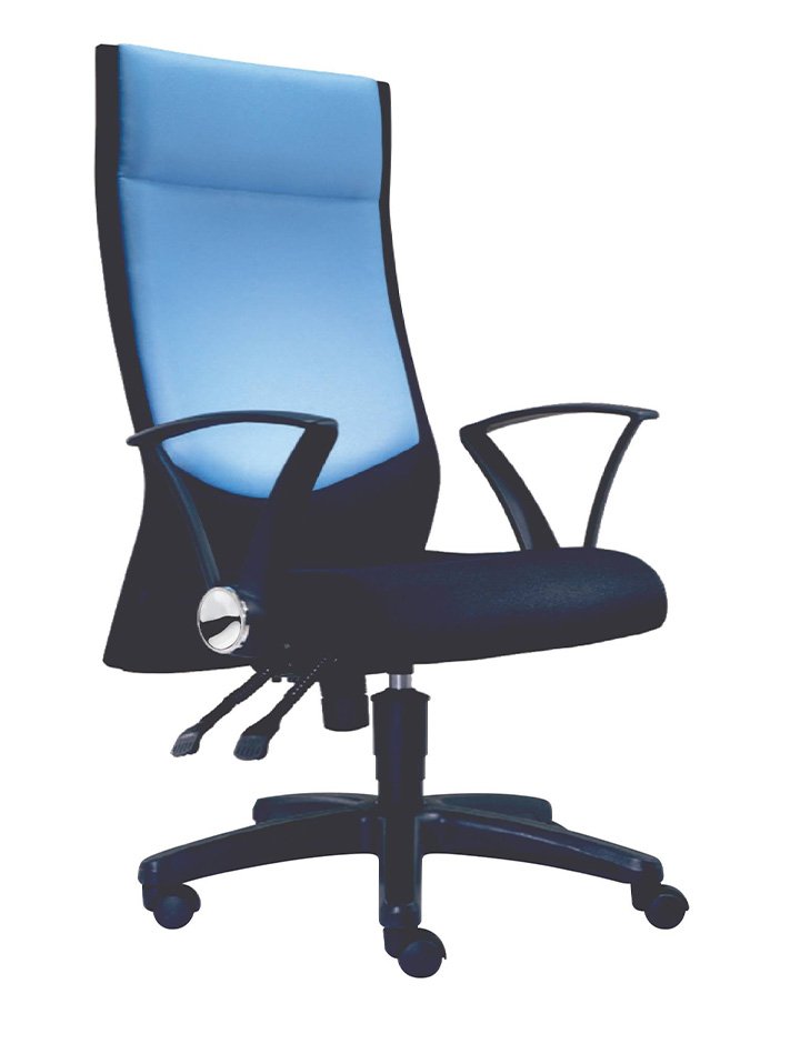 MAXI SERIES – The Max In Chair System